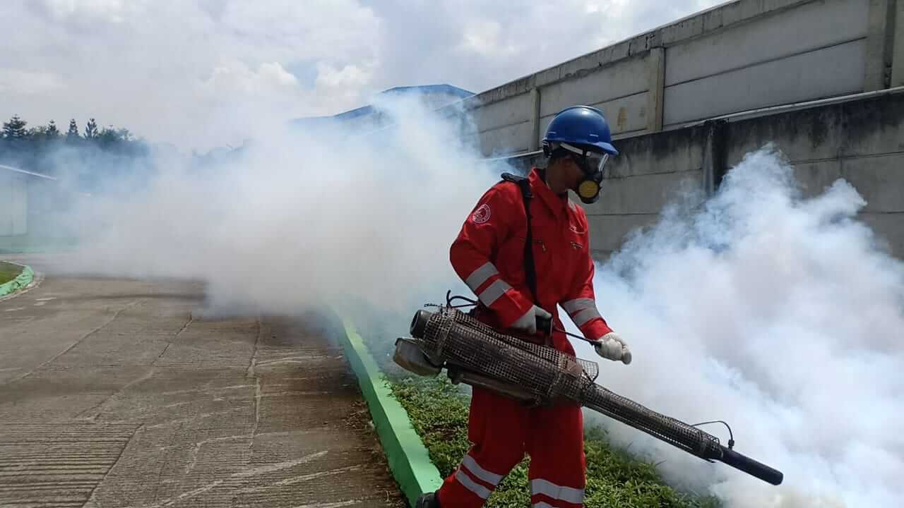 Fogging Nyamuk DBD | +628 111 108 737 | DAS PEST
